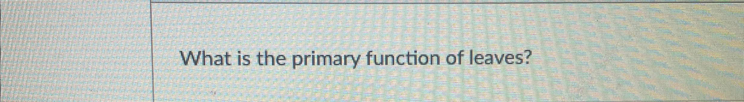 Solved What is the primary function of leaves? | Chegg.com