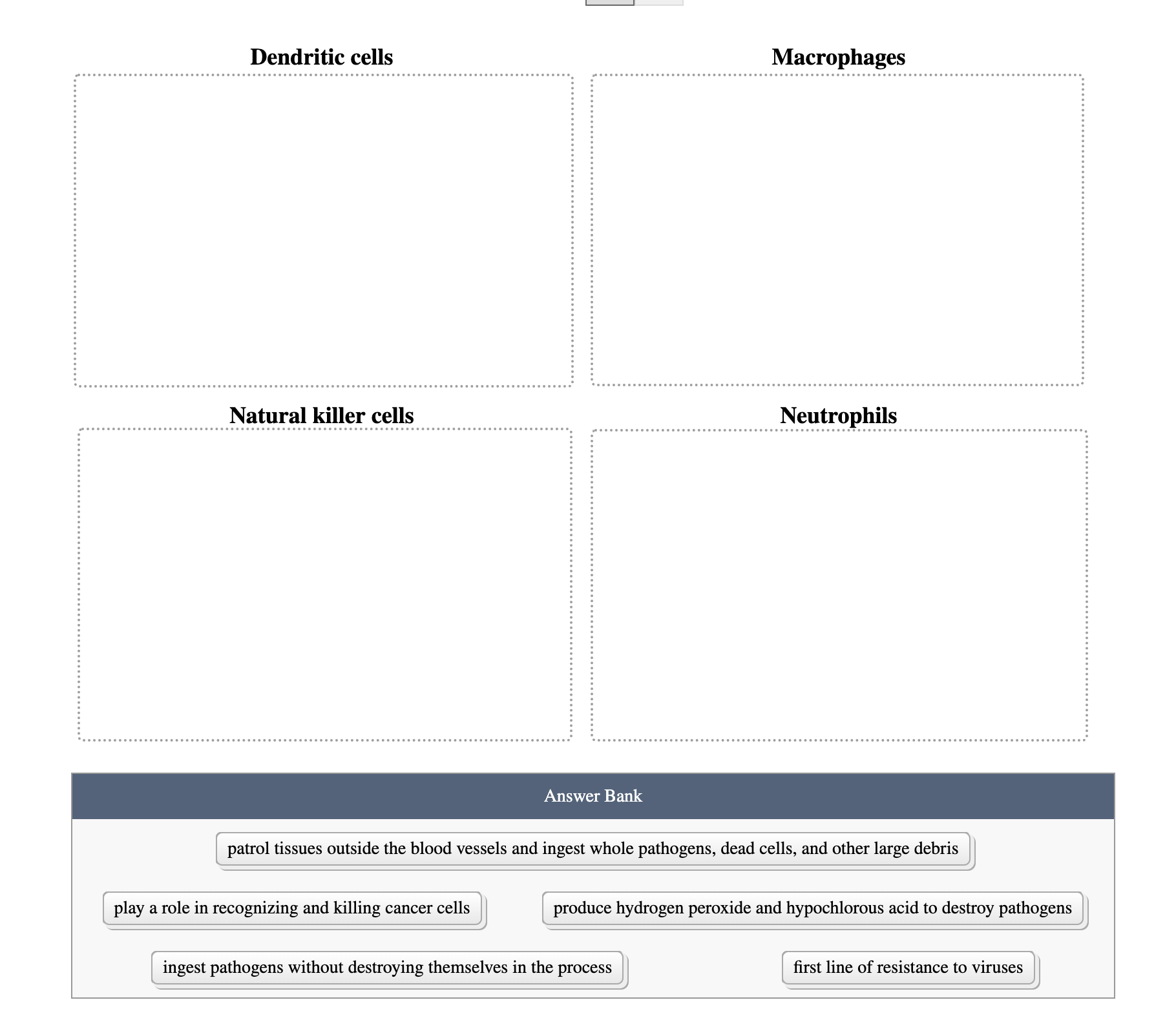 Solved Compare and contrast characteristics of the white | Chegg.com