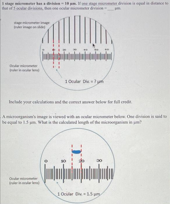 Solved 1 stage micrometer has a division 10 µm. If one stage | Chegg.com