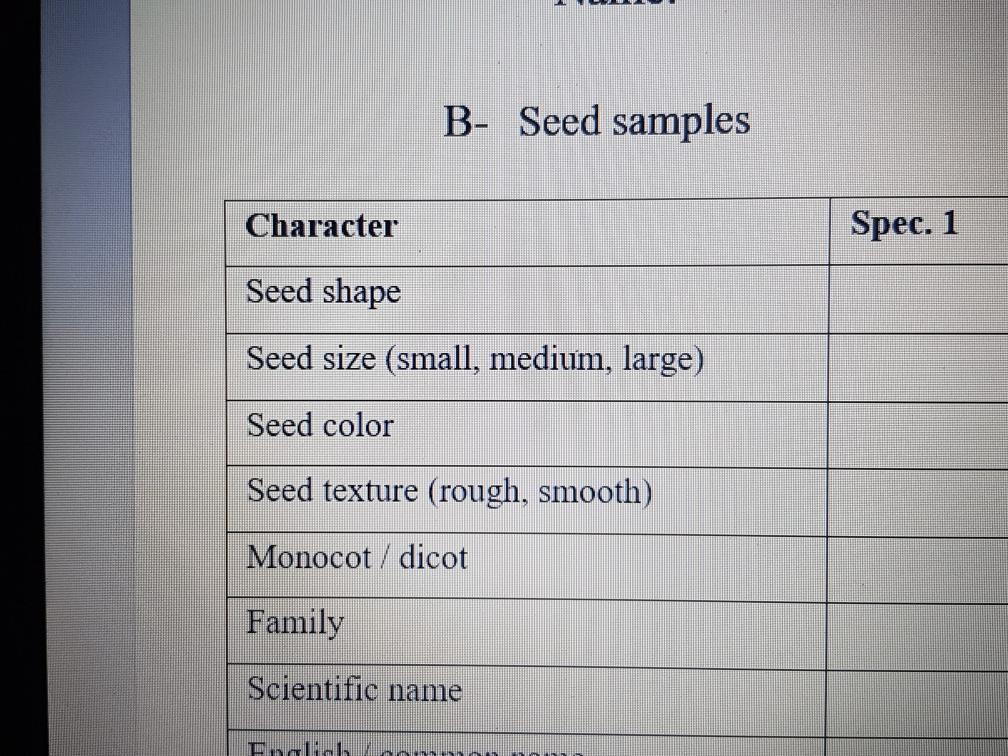 Paragraph 1 Styles Editing Sen B- Seed samples | Chegg.com