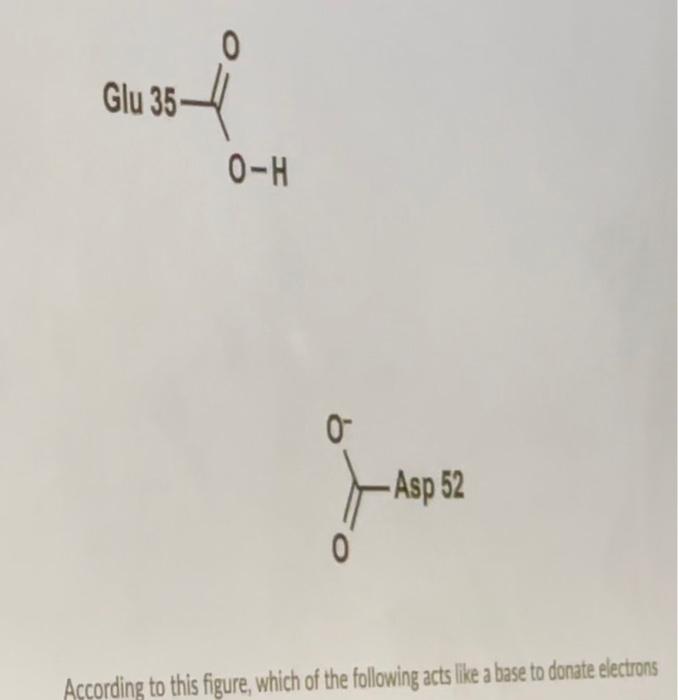 Solved 0 Glu 35 0-H 0- Asp 52 According to this figure, | Chegg.com