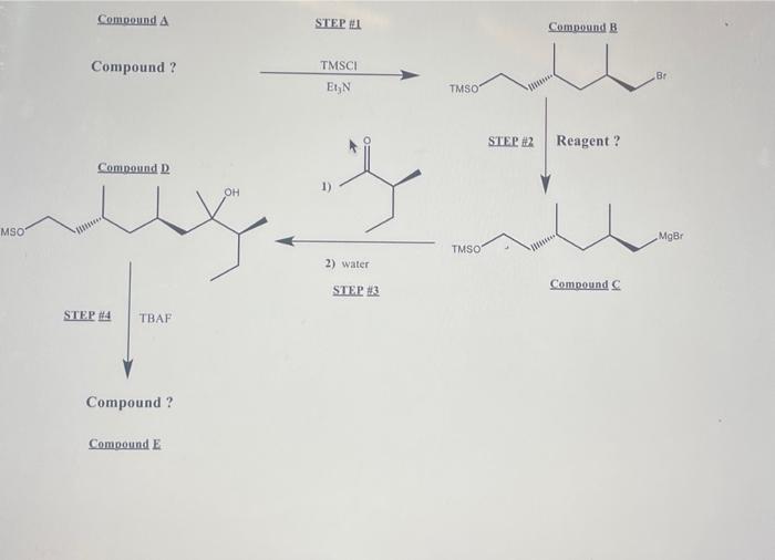 Solved Compaund D 1) 2) water STEP \#33 Compound C STEP H4 | Chegg.com
