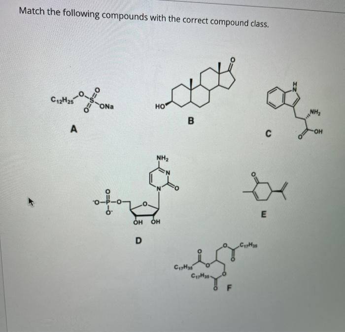 Solved Match the following compounds with the correct | Chegg.com