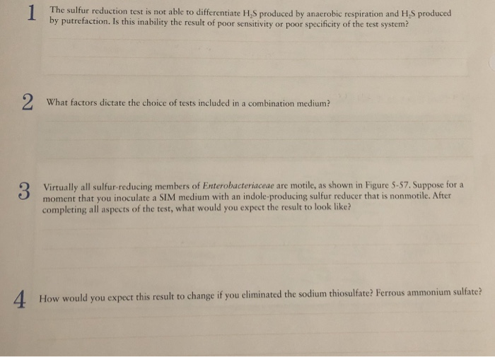 Solved 1 The sulfur reduction test is not able to | Chegg.com