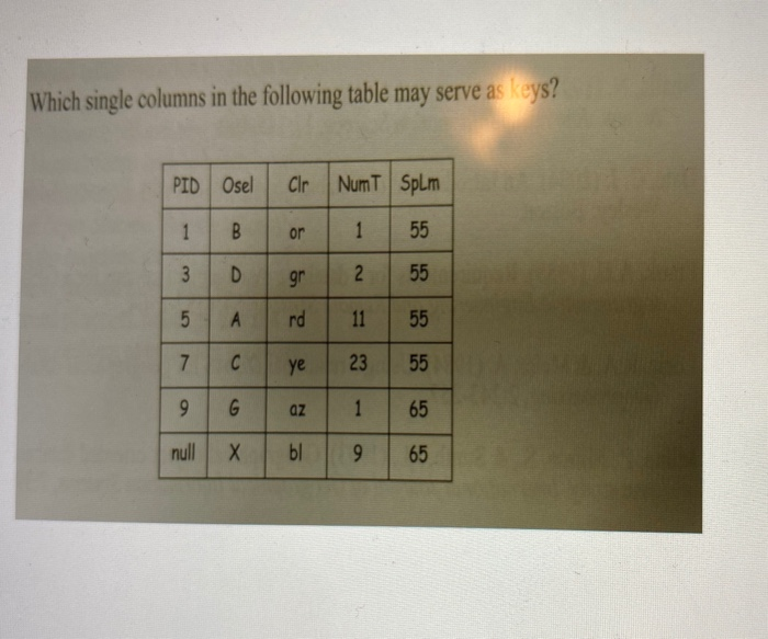 Which single columns in the following table may serve | Chegg.com