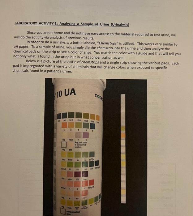 Solved LABORATORY ACTIVITY 1: Analyzing a Sample of Urine | Chegg.com