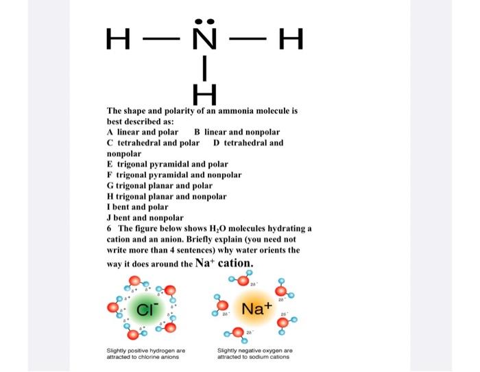 Solved H--H H The shape and polarity of an ammonia molecule | Chegg.com