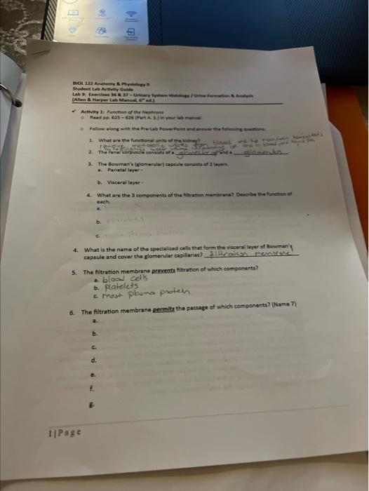 Solved Hyperventilation can lead to: A. Respiratory | Chegg.com