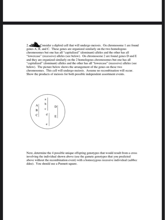 Solved For a breeding experiment you cross true breeding | Chegg.com