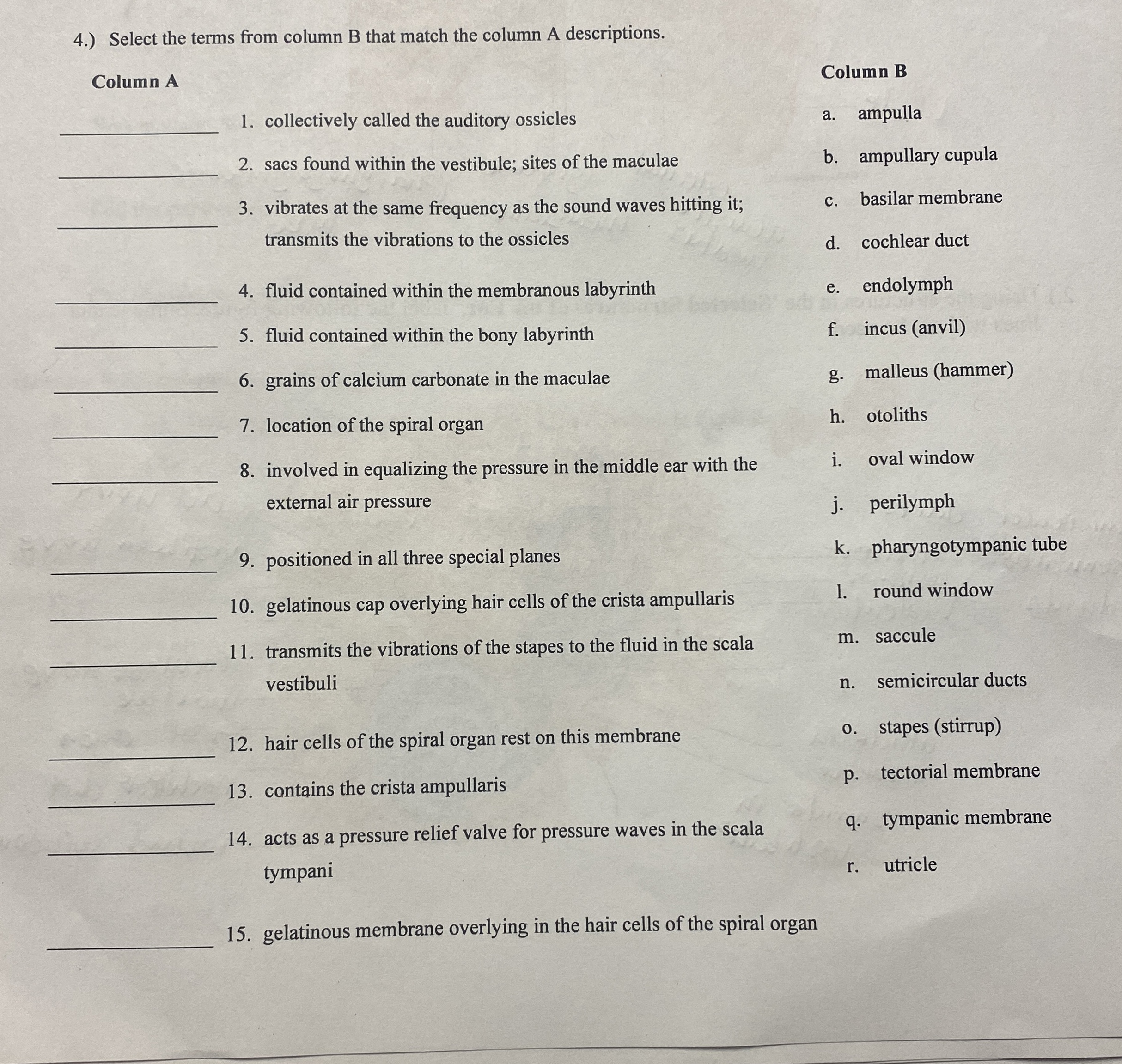 Solved 4.) ﻿Select the terms from column B that match the | Chegg.com