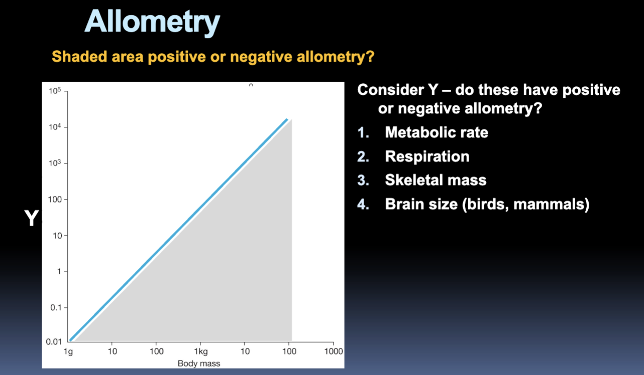 Solved AllometryShaded area positive or negative | Chegg.com