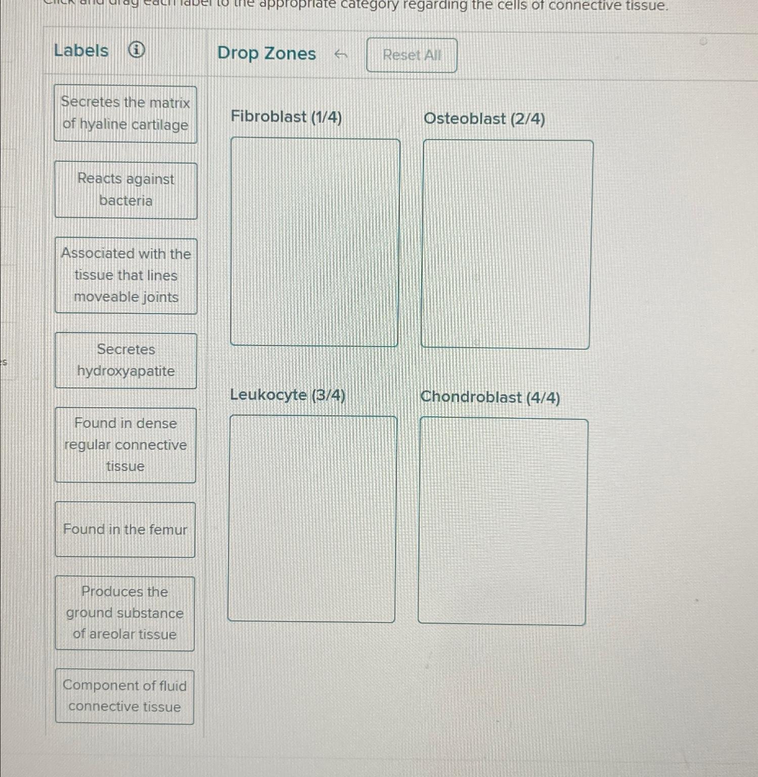 Solved click and drag each label to the appropriate category | Chegg.com