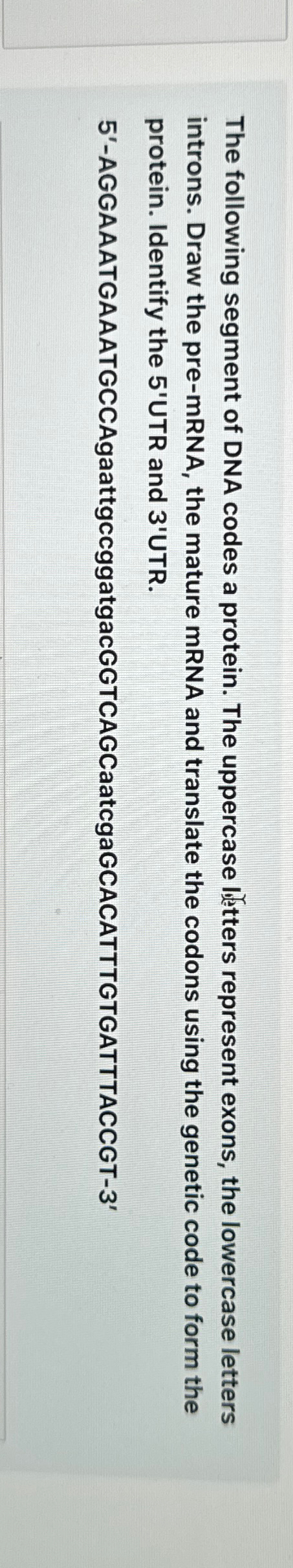 Solved The following segment of DNA codes a protein. The | Chegg.com
