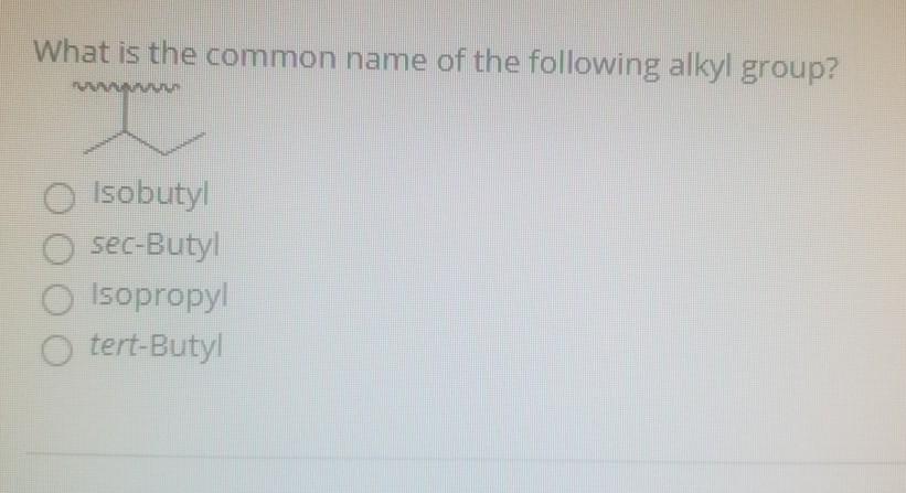 Solved What is the common name of the following alkyl group? | Chegg.com