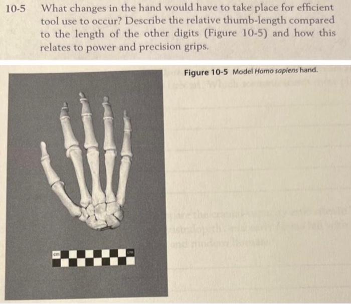 Solved -5 What changes in the hand would have to take place | Chegg.com