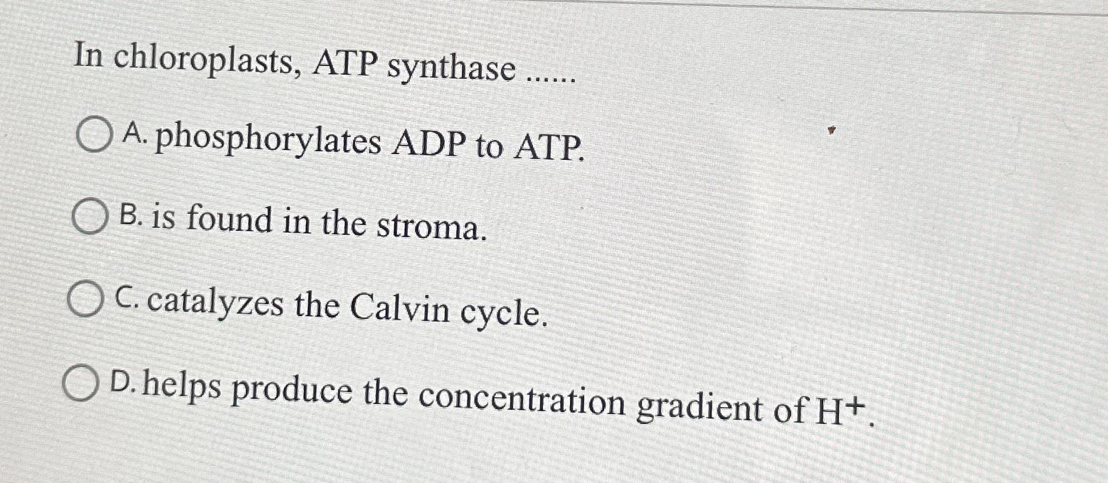 Solved In chloroplasts, ATP synthase ......A. | Chegg.com