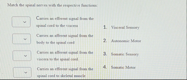 Solved Match the spinal nerves with the respective | Chegg.com