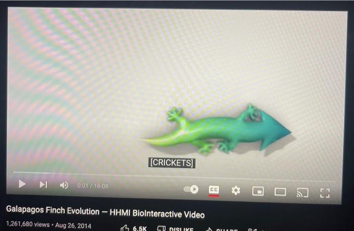 Solved Watch the Galapagos Finch Evolution Video and answer | Chegg.com