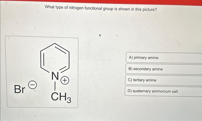 Solved What type of nitrogen functional group is shown in | Chegg.com