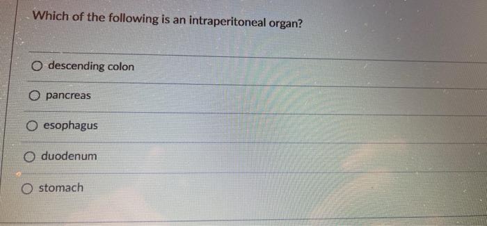 Solved Which of the following is an intraperitoneal organ? O | Chegg.com