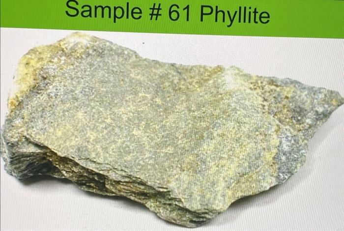 Solved Step 3 Use The Igneous Rock Identification Key In 5874