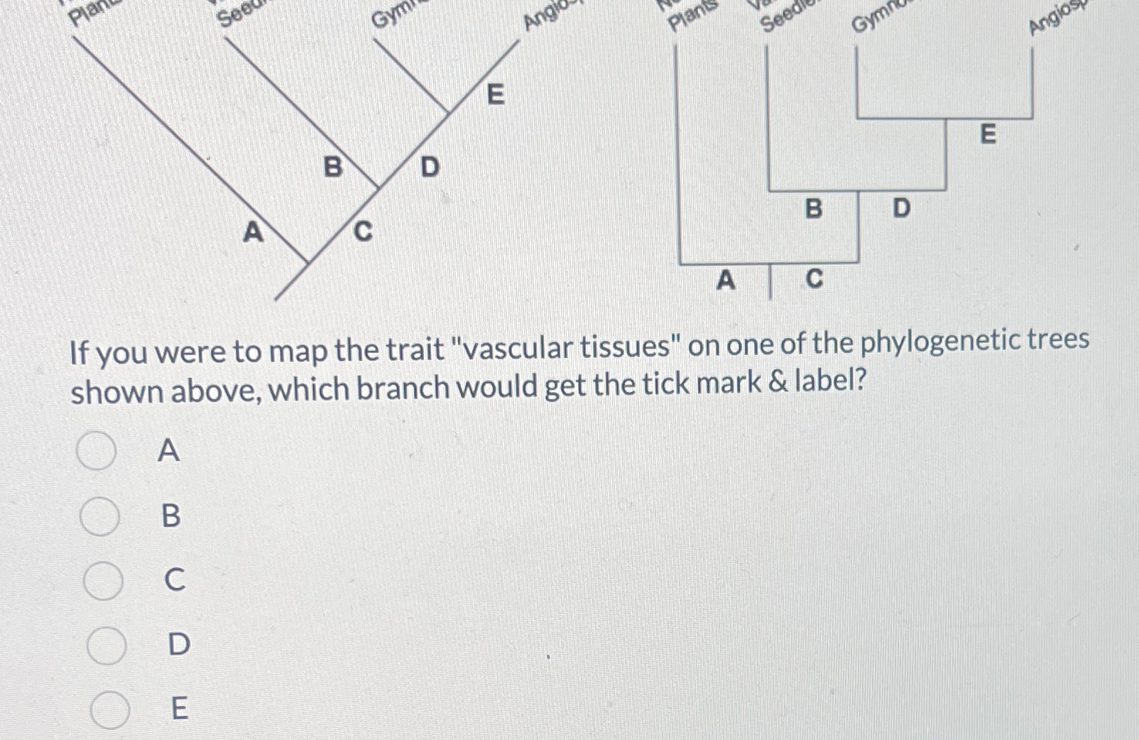If you were to map the trait "vascular tissues" on | Chegg.com