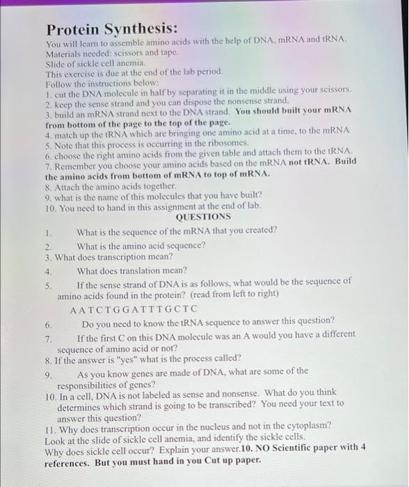 Solved for question 1 and 2 use the dna strand on question | Chegg.com