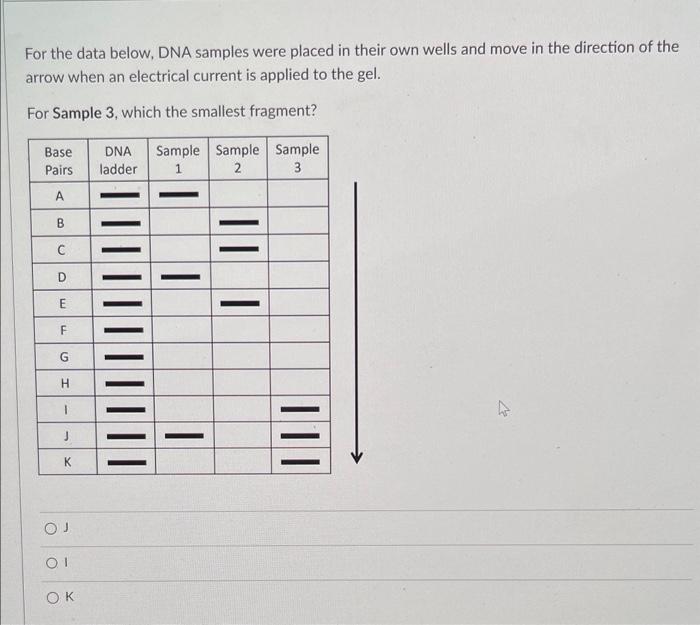 Solved For the data below, DNA samples were placed in their | Chegg.com