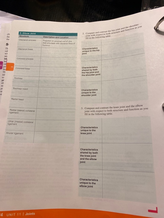 Solved Structure Instructions CHART Work with your lab group | Chegg.com