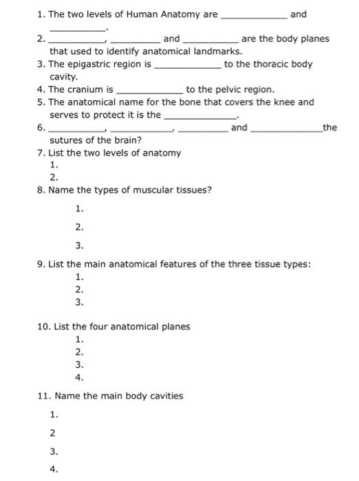 Solved 1. The two levels of Human Anatomy are and 2. and are | Chegg.com