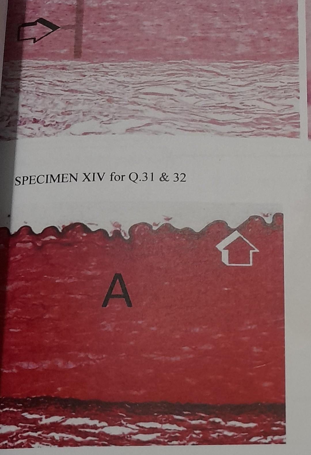 Solved SPECIMEN XII for Q27 & 28 SPECIMEN XIV for Q 31 & | Chegg.com
