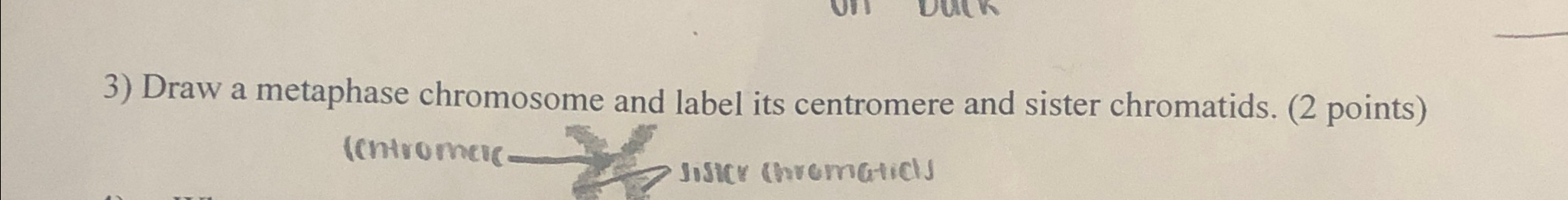 Solved Draw a metaphase chromosome and label its centromere | Chegg.com