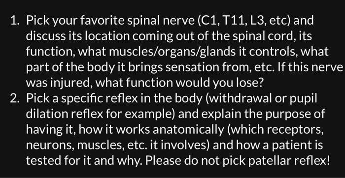 Pick your favorite spinal nerve (C1, T11, L3, etc) | Chegg.com