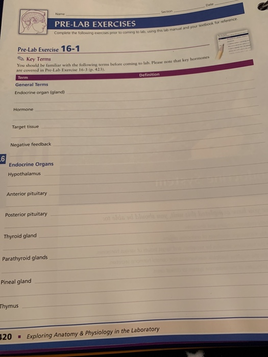 Solved PRE-LAB EXERCISES Complete the following exercises | Chegg.com