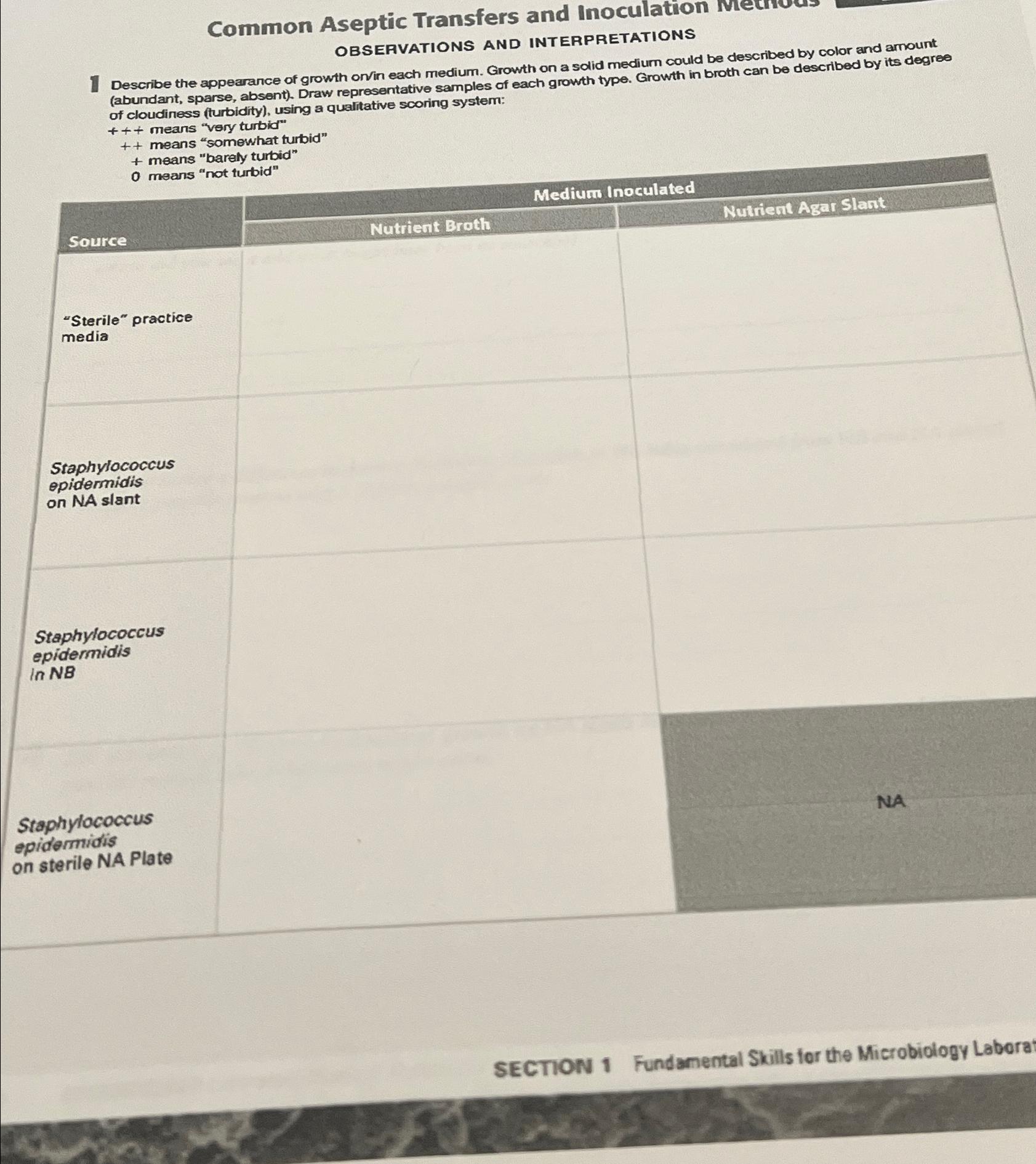 Solved Common Aseptic Transfers and Inoculation OBSERVATIONS | Chegg.com
