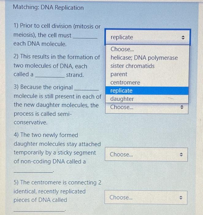 Solved 1) Prior to cell division (mitosis or meiosis), the | Chegg.com