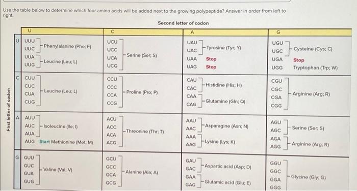 Solved Use the table below to determine which four amino | Chegg.com