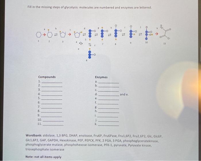 Solved Fill in the missing steps of glycolysis: molecules | Chegg.com