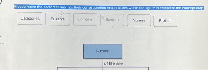 Solved Please move the correct terms into their | Chegg.com
