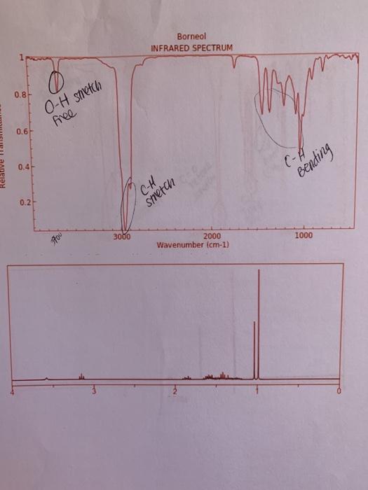 Solved Borneol INFRARED SPECTRUM 0.8 O-H shetch free 0.6 0.4 | Chegg.com