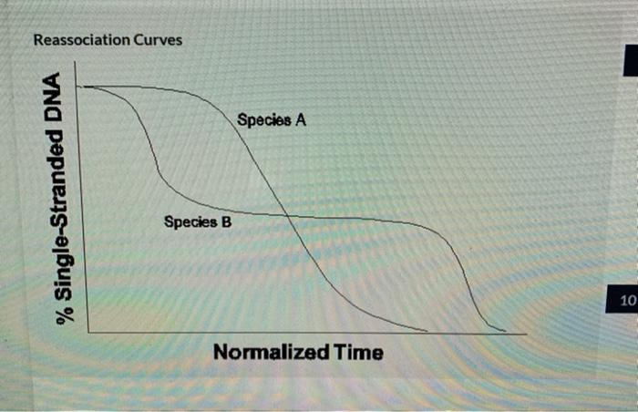 Solved Instructions This graph shows DNA reassociation | Chegg.com