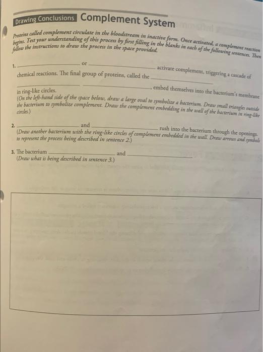 Solved Drawing Conclusions Complement System begins Test | Chegg.com