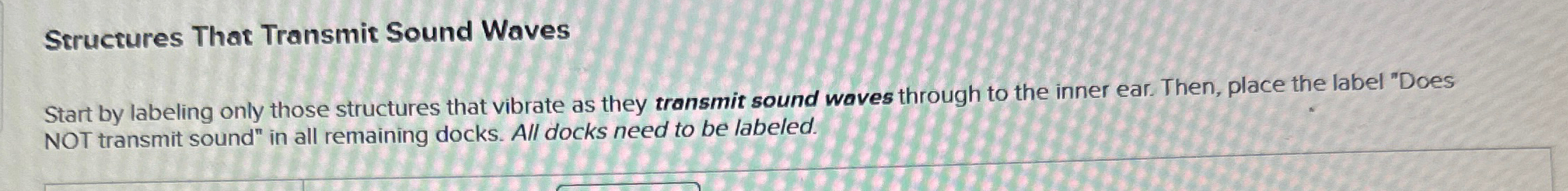 Solved Structures That Transmit Sound WavesStart by labeling | Chegg.com