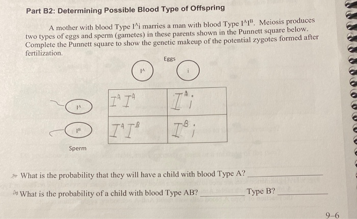 Solved Part B2: Determining Possible Blood Type of Offspring | Chegg.com