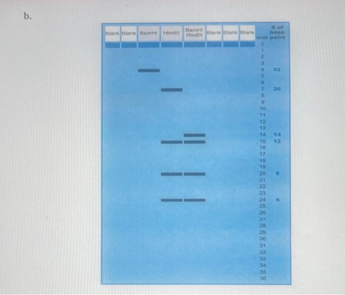 Solved 6. Construct a restriction map for each of the | Chegg.com