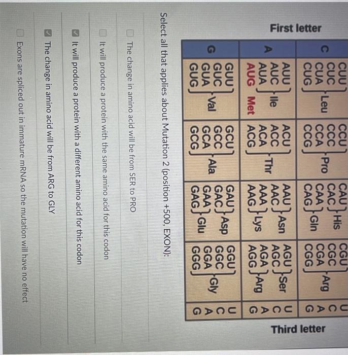 Solved G-LO37 Identify the consequences of mutations in | Chegg.com