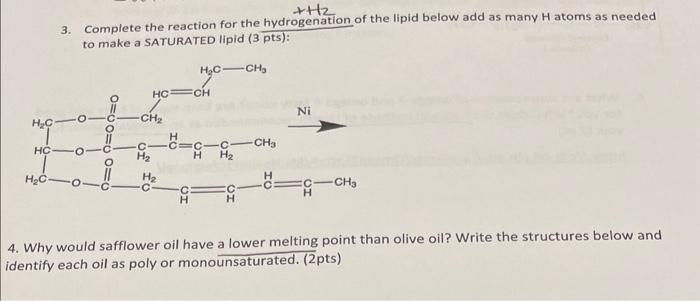 Solved 1. Draw the basic structure of a triglyceride, a | Chegg.com