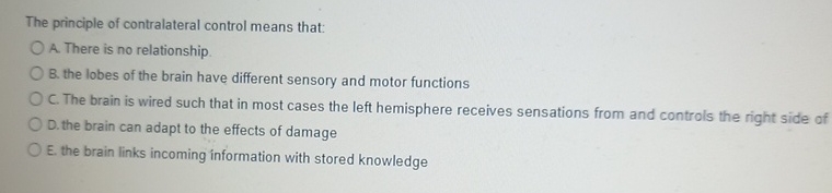 Solved The principle of contralateral control means that:A. | Chegg.com