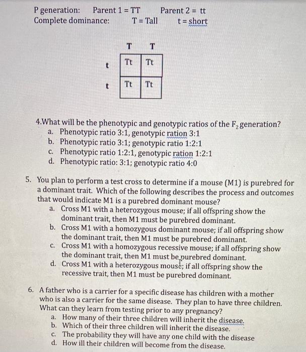 Solved P generation: Parent 1 = TT Parent 2 = tt Complete | Chegg.com