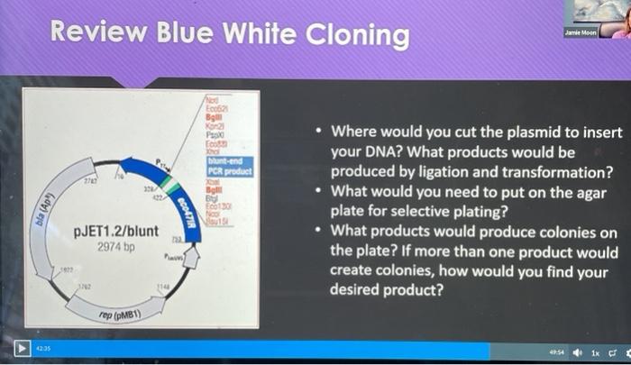 Solved Review Blue White Cloning Jamie Moon E. B9 X2 PO | Chegg.com